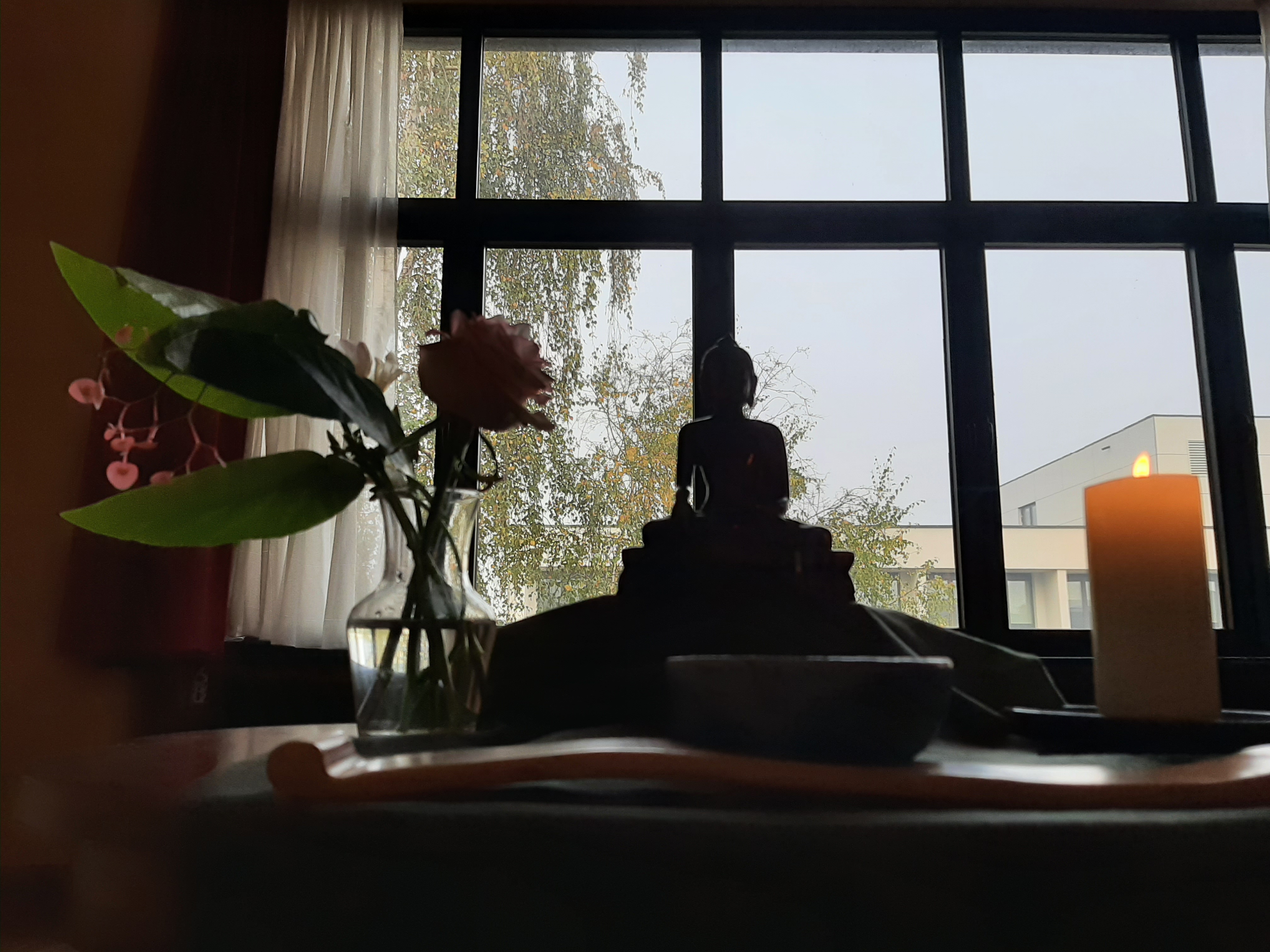 no mind zendo – No Mind Zen